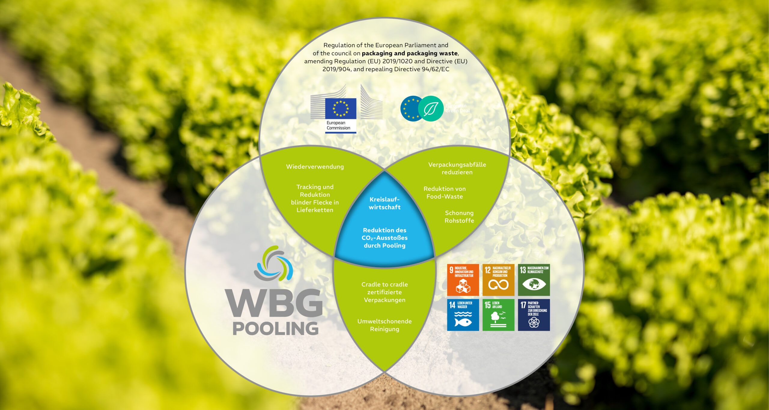WBG Pooling und die Packaging & Packaging Waste Regulation: Wie der Einsatz von Mehrweg EU-Ziele ...